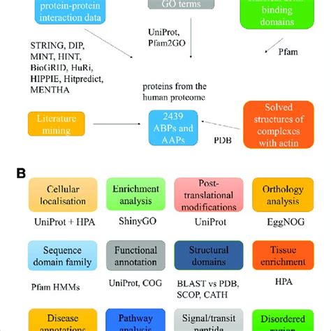 Workflow Used To Mine Putative Aaps The Figure Lists The Different Download Scientific Diagram