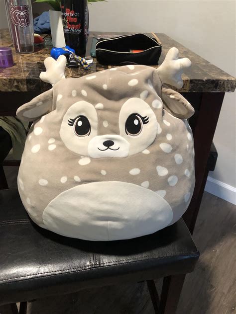 Best Score Ever 16in Willow For 3 Off Fb Marketplace😭 R Squishmallow