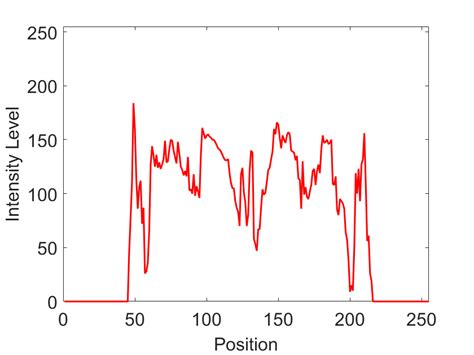 profiling of the output images in fig 1 a gt b noisy σ 20 c