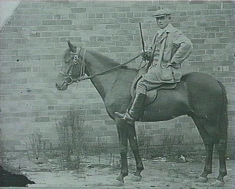 Walers in Action - Waler Horse Database