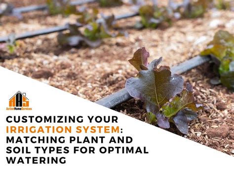 Customizing Your Irrigation System ☑️ Action Home Services