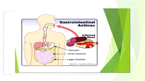 Боом өвчнөөс урьдчилан сэргийлэх нь Youtube
