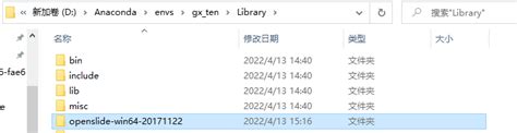 win10 anaconda python3 8虚拟环境中openslide包的安装全记录 anaconda虚拟环境中openslide安装