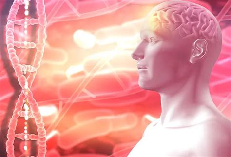 What Is The Life Expectancy For Fragile X Syndrome Symptoms