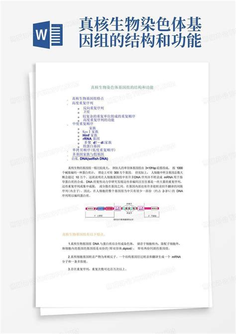 真核生物染色体基因组的结构和功能word模板下载 编号qpddmkwa 熊猫办公