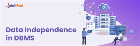 Data Independence In Dbms Physical Logical Level Explained