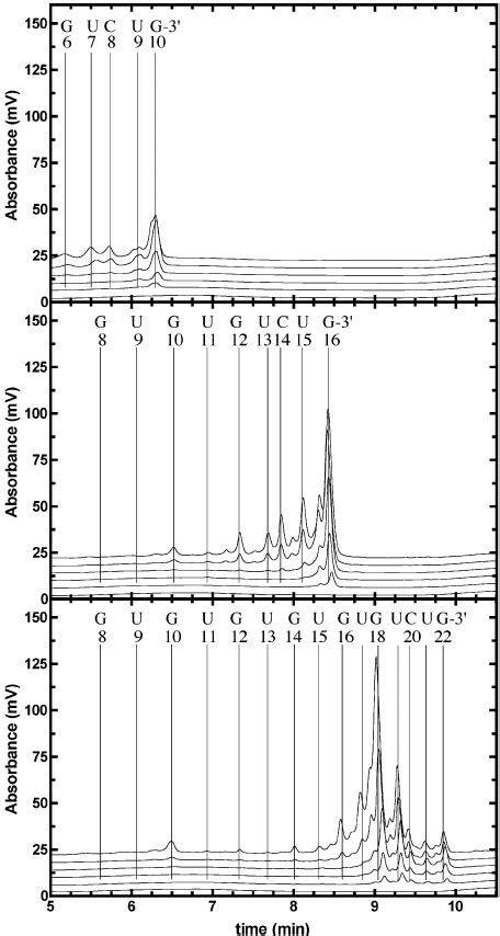 Denaturing Hplc Chromatograms For The Template Concentration Dependence
