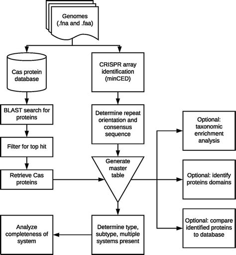 Crisprdisco An Automated Pipeline For The Discovery And Analysis Of Crispr Cas Systems