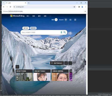 selenium安装谷歌浏览器驱动chromedriver 任意版本 selenium chrome csdn博客