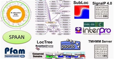 Bioinformatics Tools Functional Annotation Of Hypothetical Proteins