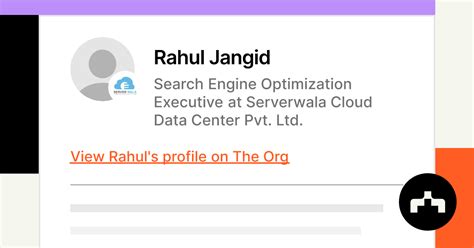 Rahul Jangid Search Engine Optimization Executive At Serverwala Cloud