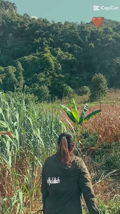 ရိုးမြေကျ💓 Youtube