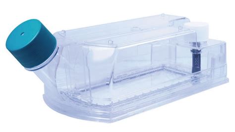 T Flask Cell Culture Sigma Aldrich T Flask Cell Culture Sigma Aldrich