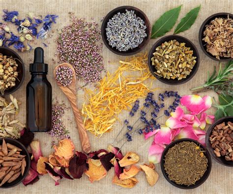 Varicose Vein Clinic Sydney And Melbourne The Vein Institute