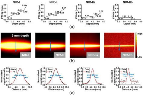 Comparison Of Multispectral Fluorescence Imaging Of The Same Capillary