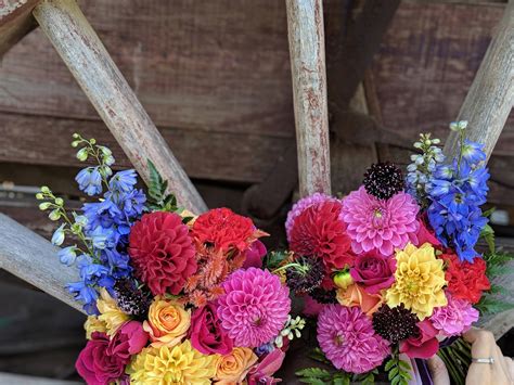 Switch Frames Switch Frames Updated Their Cover Photo