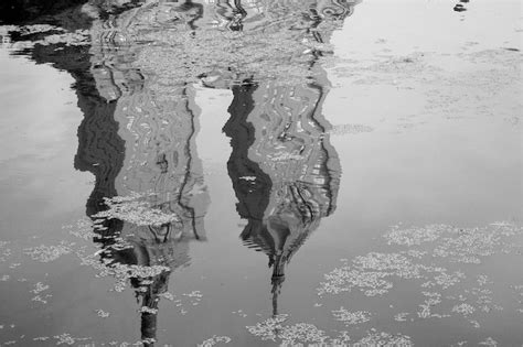 Premium Photo Reflection Of Tree In Puddle