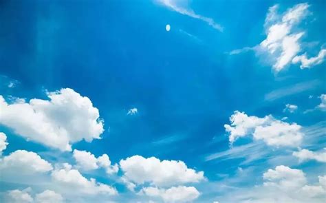 大气沉降重金属污染特征及生态风险研究进展