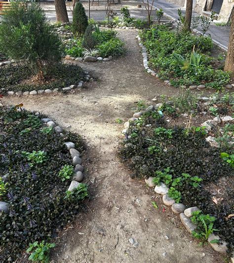 მ თამარაშვილის გამზირი