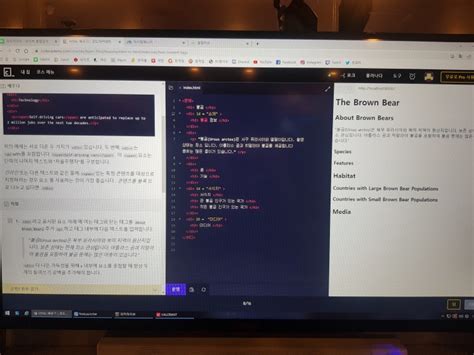 코딩 html코드아카메 왕초보 질문 지식in