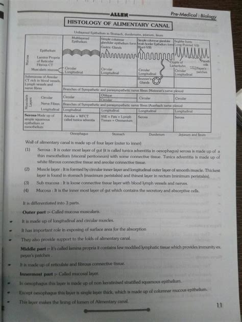 What Is The Difference Between A Class Module And An Object Module In