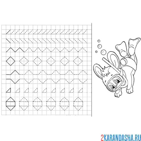 Прописи 5 лет цифры