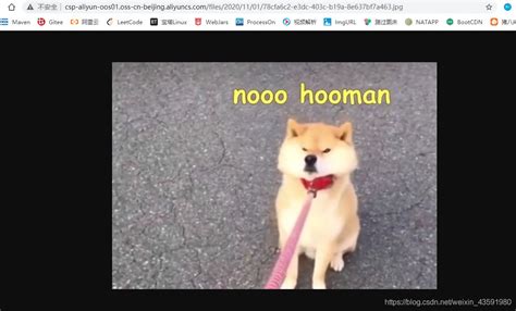 使用springboot操作阿里云oss实现文件上传下载删除等功能 开发技术 亿速云