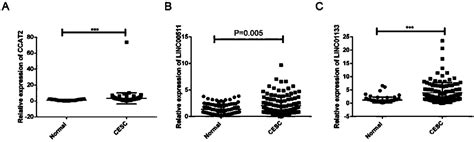 Application Of Long Chain Non Coding RNAs Eureka Patsnap