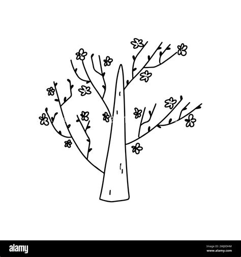 Spring Tree Hand Drawn Doodle Style Vector Illustration Isolated On