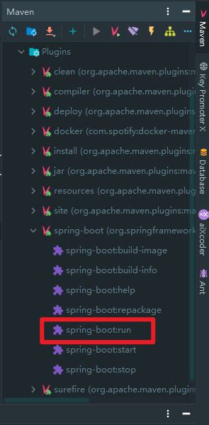 Spring Boot Maven Plugin：debug调试程序spring Boot Maven Plugin Debug Csdn博客