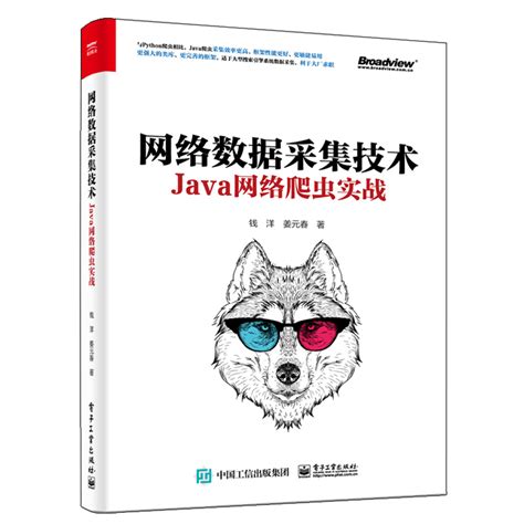 自己动手写网络爬虫修订版配光盘 网络数据采集技术 java网络爬虫实战 2册网络爬虫开发原理与java实现信息采集程序设计书 虎窝淘