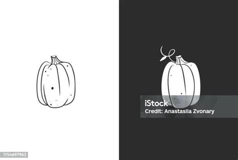 손으로 그린 벡터 추상 그래픽 흑백 실루엣 가을 야채 추수 감사절과 할로윈 호박 세트 할로윈 개요 가을 야채 수확 디자인 개념입니다 가을의 상징입니다 10월에 대한 스톡