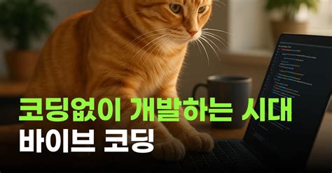 코딩 없이 만드는 Ai 개발 시대 바이브코딩