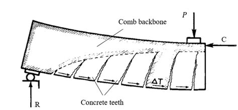 10 Illustration Of The Comb Like Structure Kani 1964 Download