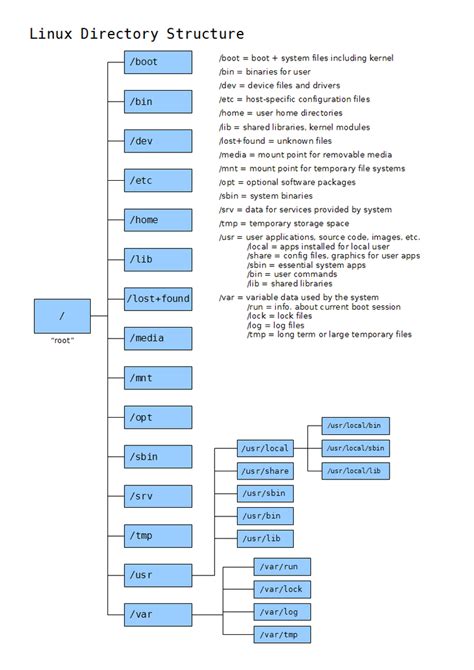 Структура папок в Linux Сайт одного Devopsa