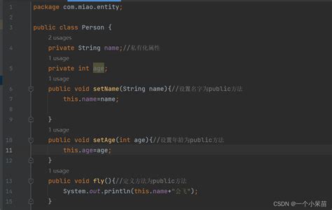java getter和setter javagetter和setter怎么用 csdn博客
