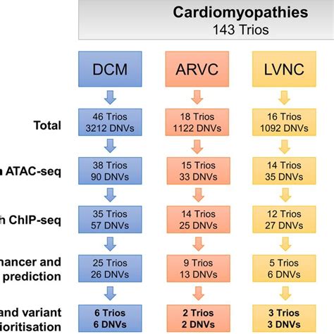 Noncoding De Novo Variant Filtering Criteria Dcm Dilated