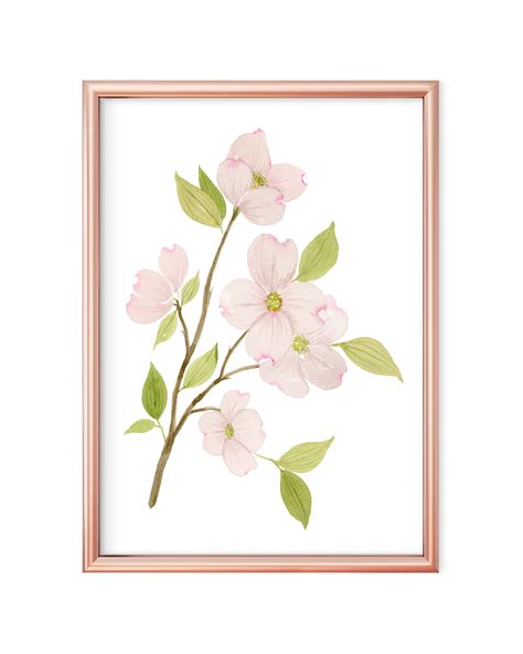 Dogwood Flower Watercolor Art Print Texas Spring Floral Etsy