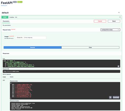 Deploying A Vision Transformer Deep Learning Model With Fastapi In