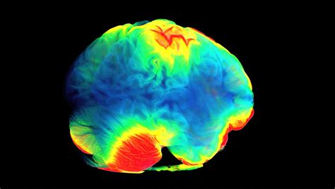 A Whole Brain Model For Your Best Success