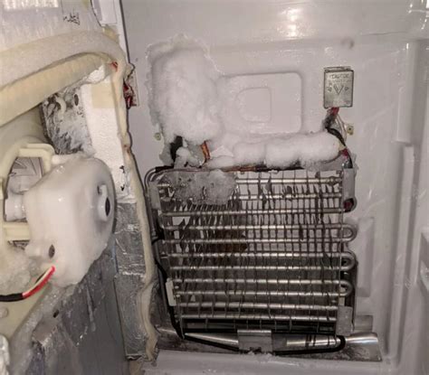 Evaporator Troubleshooting At Carol Santana Blog