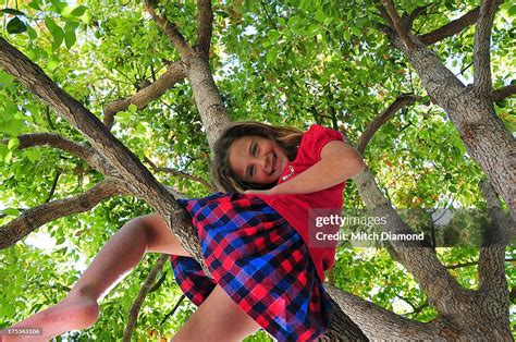 Barefoot Girl In Tree Foto De Stock Getty Images