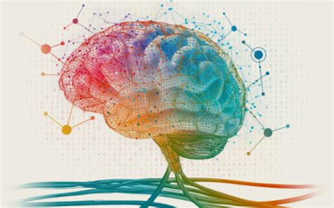 How Data Backed Decision Making Creates Sustainable Growth News Ideas Collide