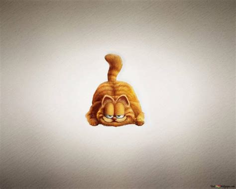Cute Animated Image Of Cat Wrapped In Garfield Cartoon Character Hd
