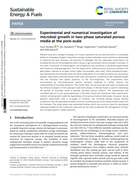 pdf experimental and numerical investigation of microbial growth in