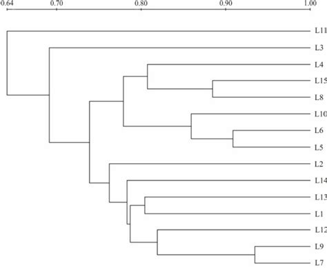 dendrogram of the clustering of various localities of 15 green gram