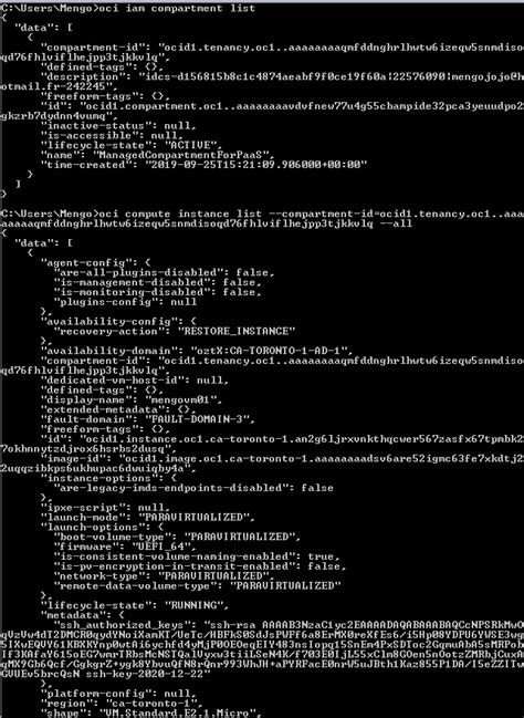 Planification Du Démarrage Et De Larrêt Des Composants Oracle Cloud Infrastructure Sous Windows