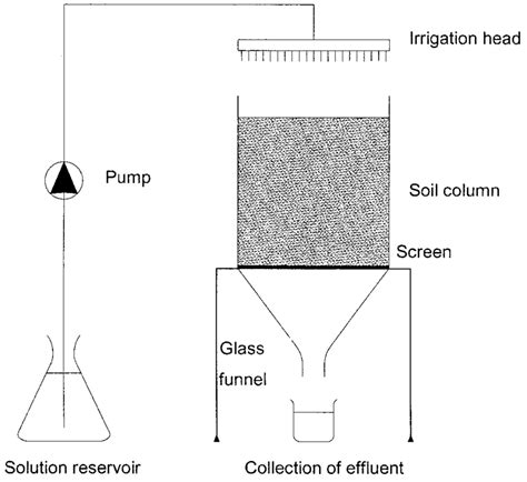 Schematic Of The Experimental Column System Download Scientific Diagram