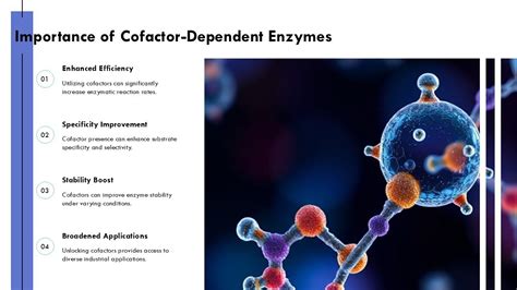Importance Of Cofactor Dependent Enzymes Ppt Template St Ai Ss Ppt Example