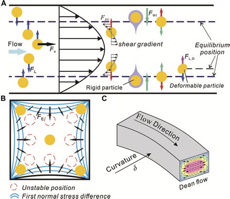 Schematic Of Hydrodynamic Forces In Microfluidics A Inertial Forces Download Scientific